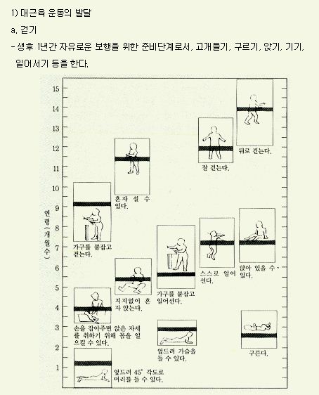 아동발달 신생아기의 신체 및 운동 발달 네이버 블로그