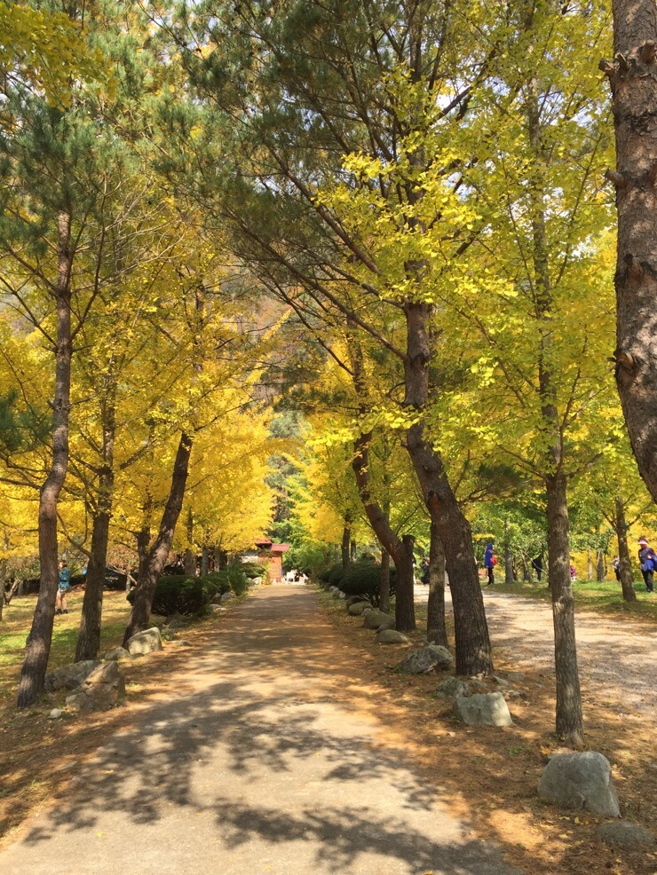 단풍구경할만한곳 강원도 홍천 네이버 블로그