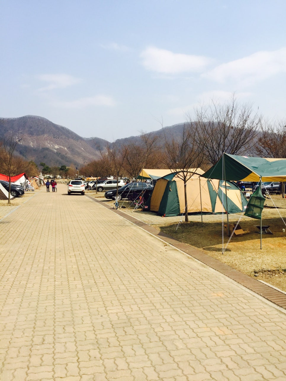 봄캠핑 가평 자라섬 오토캠핑장 네이버 블로그