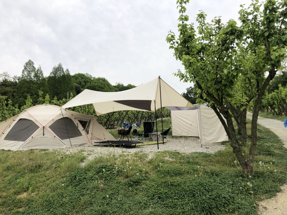 용인 캠핑 장소 추천 숲속의 아침 오토 캠핑장 비가 와도 계속된다 네이버 블로그