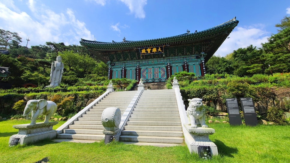 꽃무릇과 구절초가 마음을 평온하게 만들어주는 세종 영평사 네이버 블로그