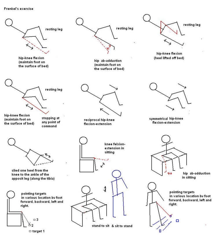 Frenkel's ex. : 네이버 블로그